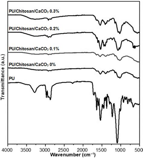 Ftir Spectrum Of Pu Foams Pu Foams Chitosan And Download Scientific Diagram