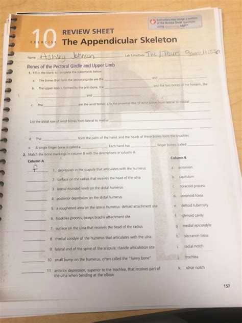 Solved Review Sheet Exercise The Appendicular Skeleton Name