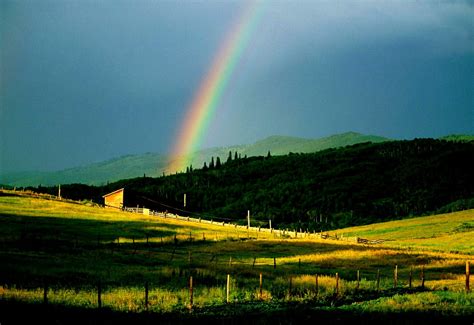 60 Веселка шпалери на робочий стіл Hd Скачати Безкоштовно заставки