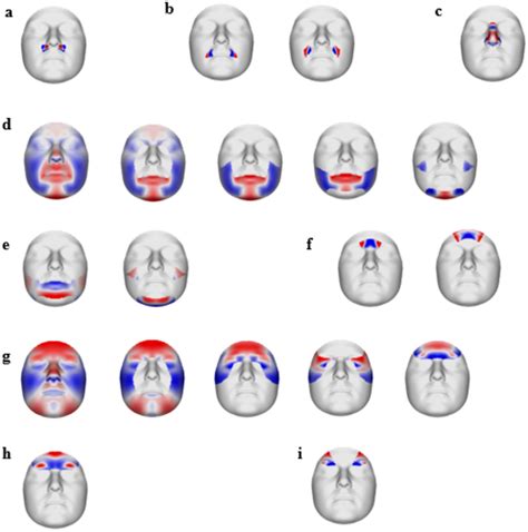 Dna Markers Linked To Facial Features In Iberian Peninsula Population