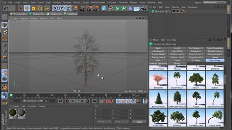 Forester for Cinema 4d: Tree Parameters - YouTube