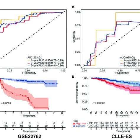 Validation Of The Immune Risk Score Model A B Sensitivity And