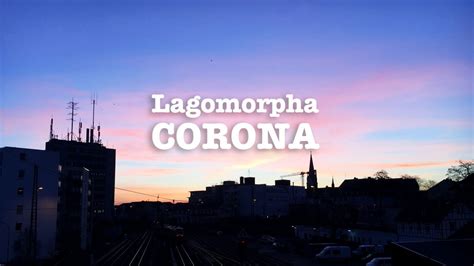 Lagomorpha Home Facebook