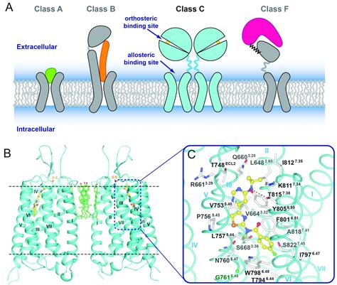 Practical Strategies And Concepts In Gpcr Allosteric 56 Off