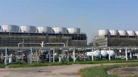 মেরামতের অজুহাতে ৫০ দিন ধরে বন্ধ সিইউএফএল The Business Standard