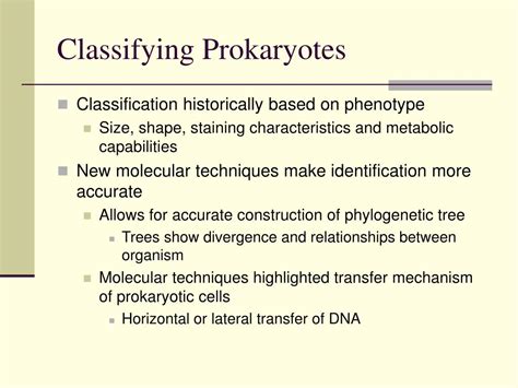 Ppt Identification And Classification Of Prokaryotes Powerpoint