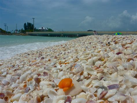 Beach Condo Sanibel Island At Roger Storey Blog