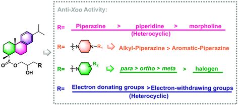 Overall Structure Activity Relationship Analysis Of All Target