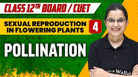 Sexual Reproduction In Flowering Plants 04 Pollination Class 12th CUET YouTube