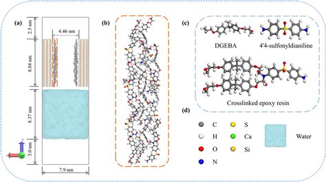 Illustration Of Water Molecules Transport In Epoxy Modified C S H