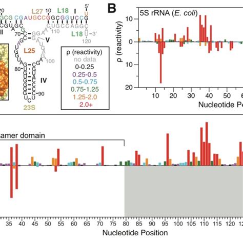 Shape Seq Workflow In Vitro Rna Structures Are Analyzed By First Download Scientific Diagram