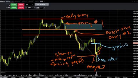 Build Mt4 Mt5 Expert Advisor From Your Trading Strategy Using Pinescript By Miloashton Fiverr