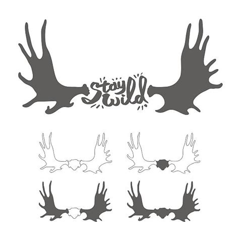 8900 Elk Antlers Stock Illustrations Royalty Free Vector Graphics