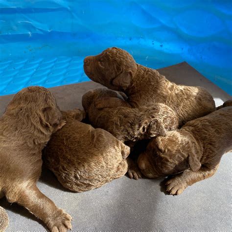 Josh Hardison Joshshardison • Instagram Photos And Videos