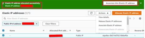 Allocate And Associate Or Disassociate And Release Elastic Ip