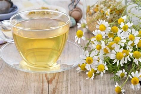 გვირილის ჩაი დიაბეტის წინააღმდეგ