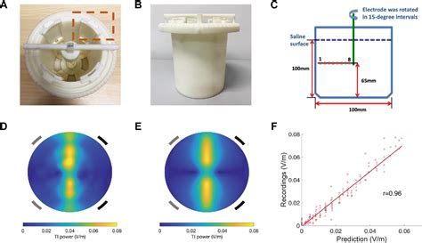 Figure 6 From Temporal Interference Stimulation Targets Deep Primate Brain Semantic Scholar