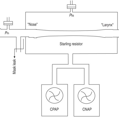 experimental set up used to submit auto adjusting positive airway