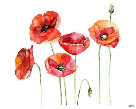 Poppy Painting Print From Original Watercolor Painting Etsy