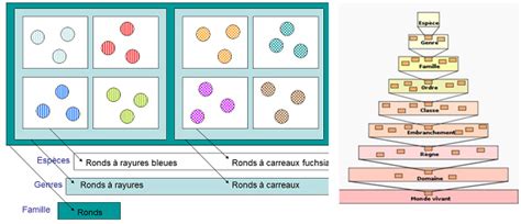 Méthodologie En Classification Des Formes Et Des Couleurs La