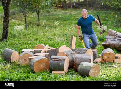 Farmer With Big Axe Splitting Beech Logs Stock Photo Alamy