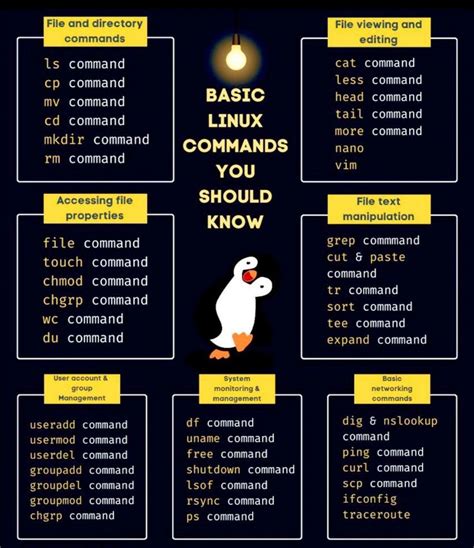 Eng Mohamed Almasri On Linkedin Basic Linux Commands You Should Know
