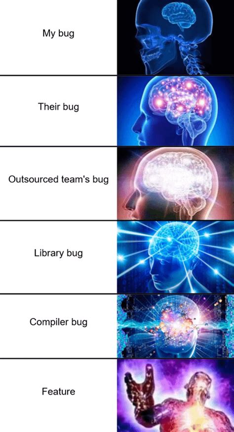Bugs Rprogrammerhumor