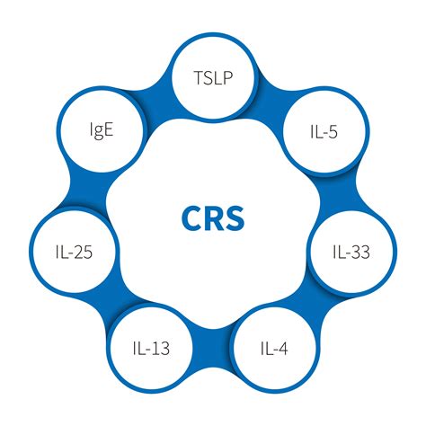 Chronic Sinusitis Hkeybio