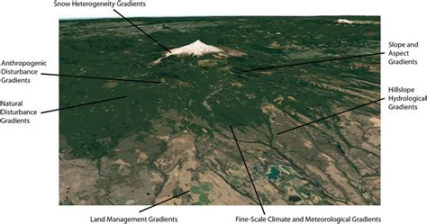 Illustration Of Multiple Concurrent Aspects Of Surface Heterogeneity Download Scientific