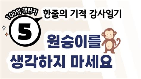 5일차한줄의기적 감사일기 챌린지100 부정문이 아니라 긍정문을 써라 Youtube