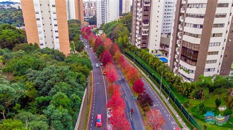 Rua Do Outono Conheça O Novo Cartão Postal De Curitiba