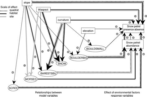 Conceptual Model Showing Relationships Between Model Variables And