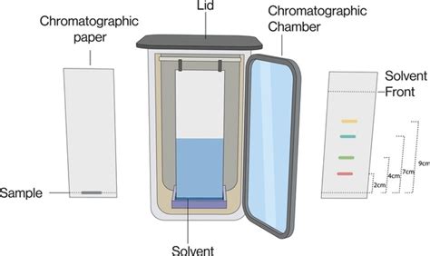 5 Chromatographic Diagrams Royalty Free Photos And Stock Images
