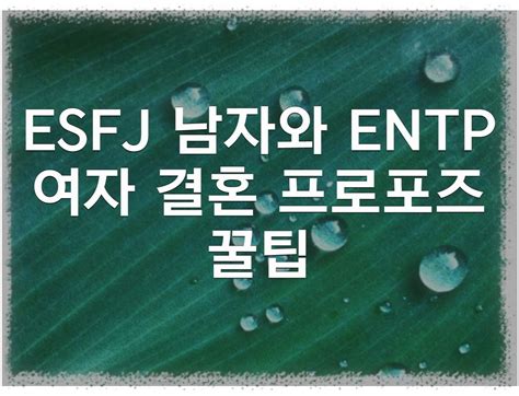 Esfj 남자와 Entp 여자 결혼 프로포즈 꿀팁 Mbti Lab