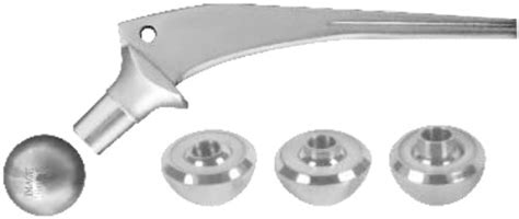 Modular Bipolar Prosthesis Xl At Best Price In Delhi R S Surgical