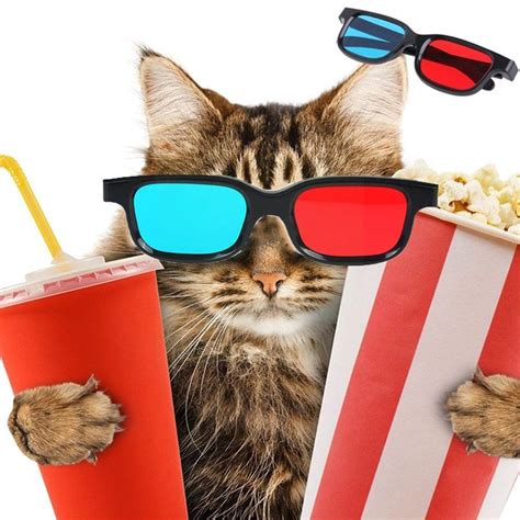 Universal 3d Glasses For Dimensional Tv Movie Pict Vicedeal