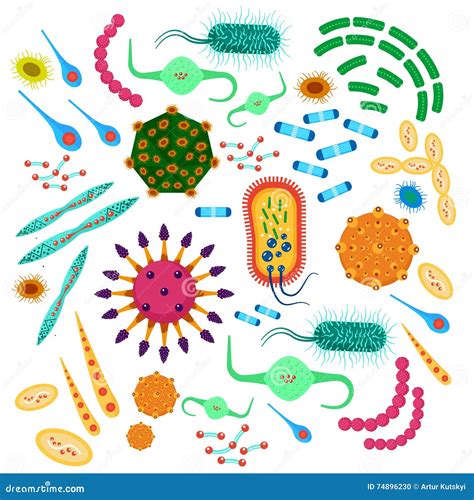 Vector Bacteria Outline Banner Concept Illustration Cartoondealer