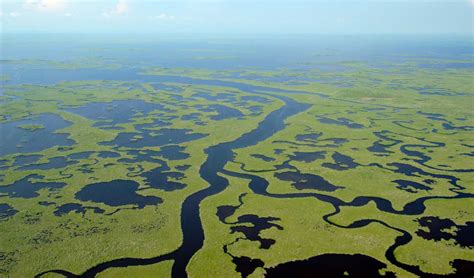 The Largest Environmental Restoration In History Continues To Restart