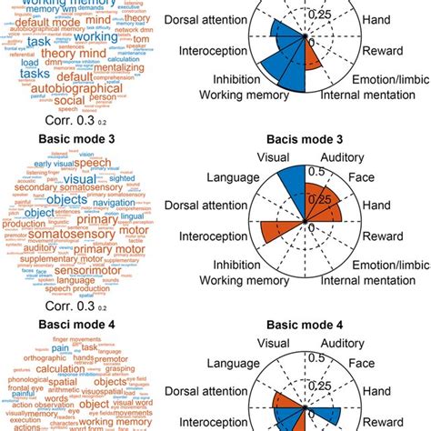 Association With Cognitive Functions A Cognitive Term Associated With