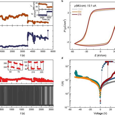 Polarization Alignment And Memory Effect A Tunable Electric Resistivity