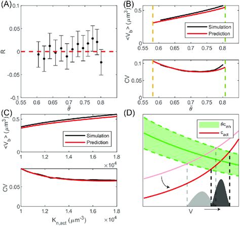 Comparison Between Theories And Simulations Of The Stochastic Model