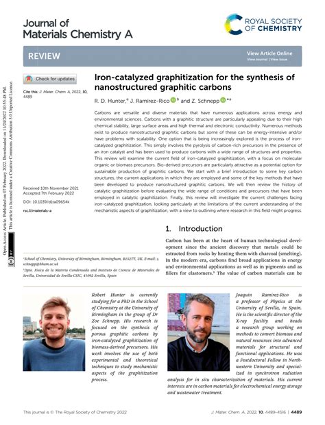 Pdf Iron Catalyzed Graphitization For The Synthesis Of Nanostructured