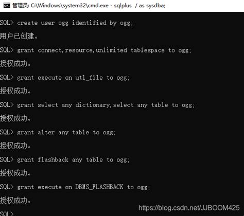 oracle golden gate ogg 学习——源端安装ogg （数据库版本为oracle 10g） csdn博客