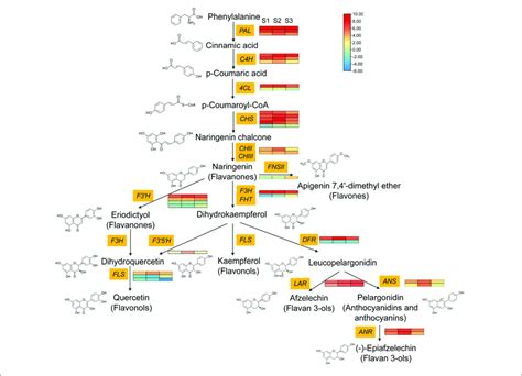 Comparative Transcriptomic Analysis Of Structural Genes Involved In