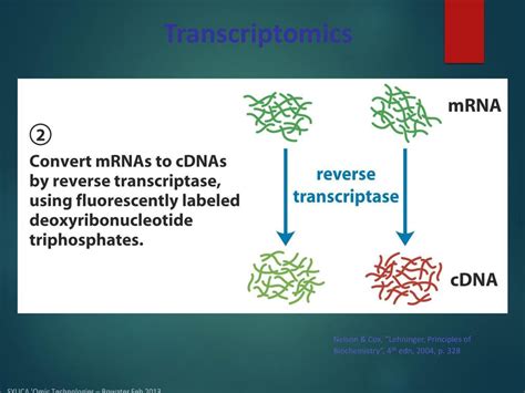 Lecture Fall 2017 Microarray Analysis And Omics Technology Ppt