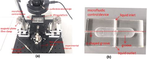 Experimental Devices Of Ri Sensor Download Scientific Diagram