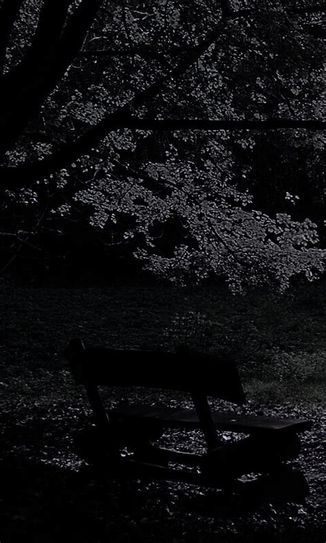 Скачать обои «Скамейка под деревом 480х800 для рабочего стола с фильтром Gotham