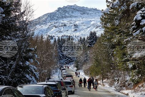 Природен парк „Витоша“ обяви фотоконкурс Утро
