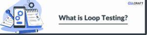 What Is Loop Testing In Software Testing