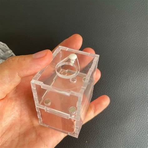 Grote Mier Ecologische Mini Pocket Gat Mier Kastee Grandado